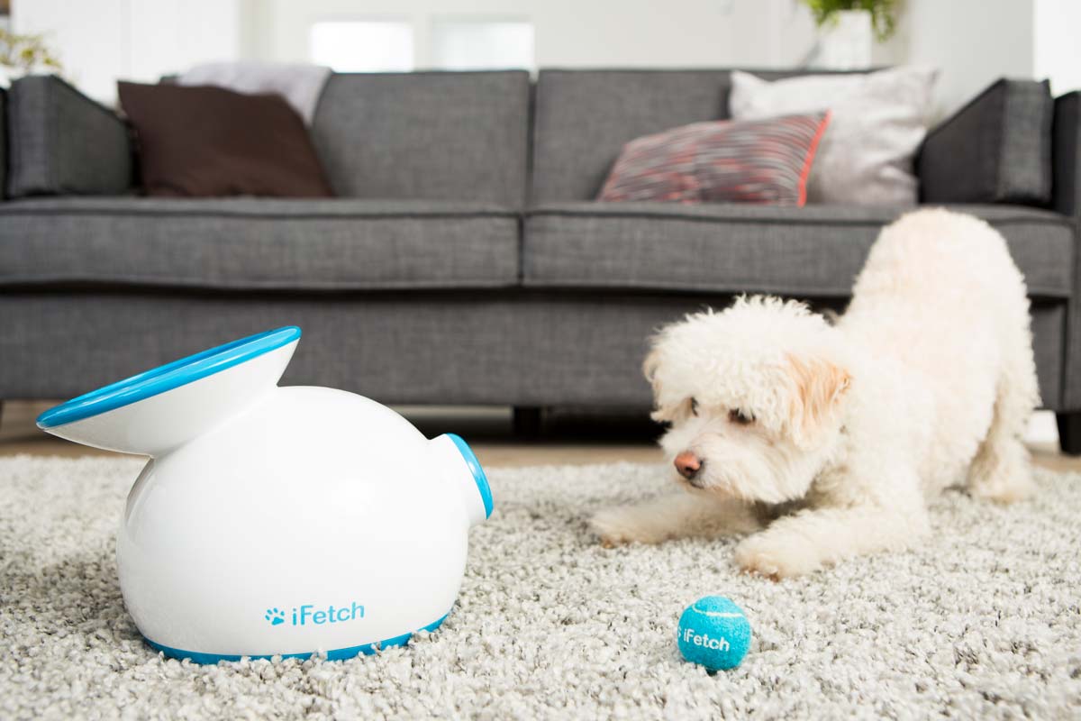 The iFetch training tool kit is step one to training your dog to use t The iFetch training tool kit is step one to training your dog to use t