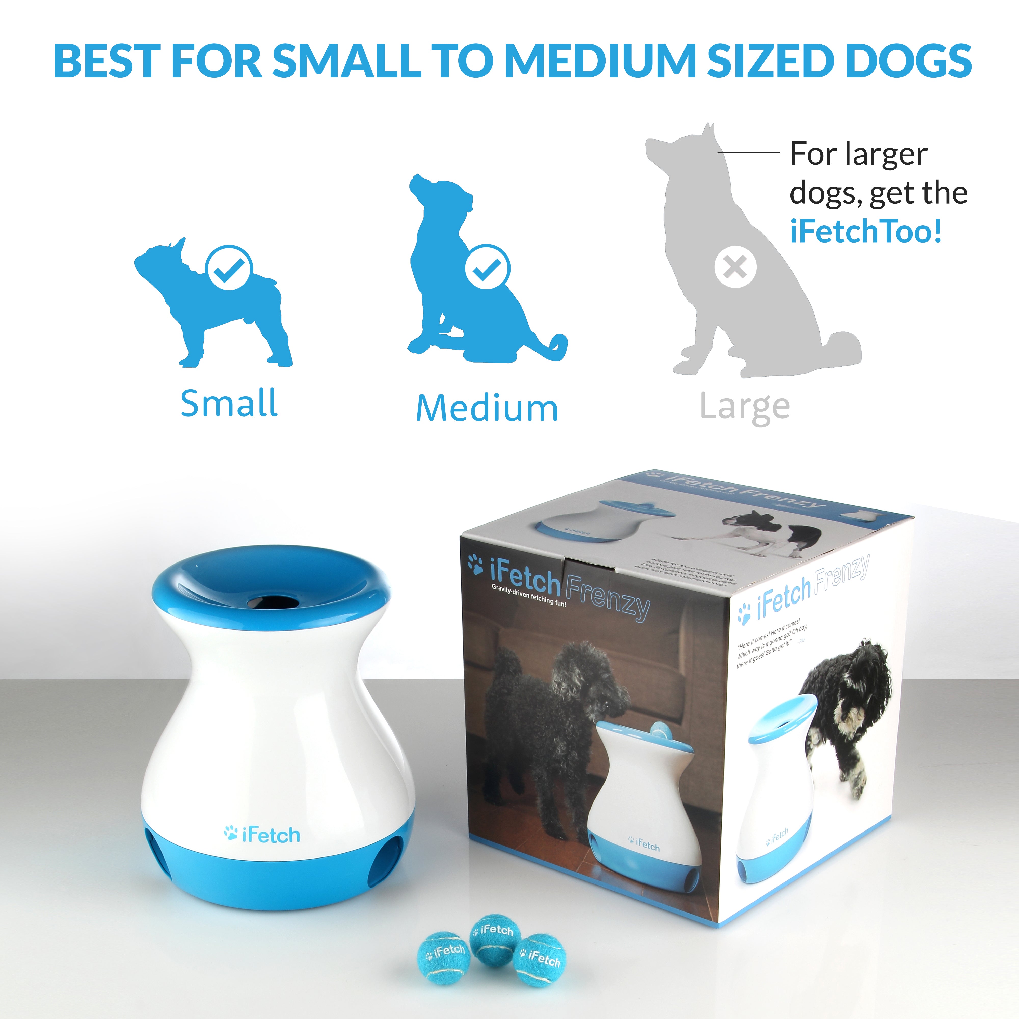 iFetch Frenzy Brain Game